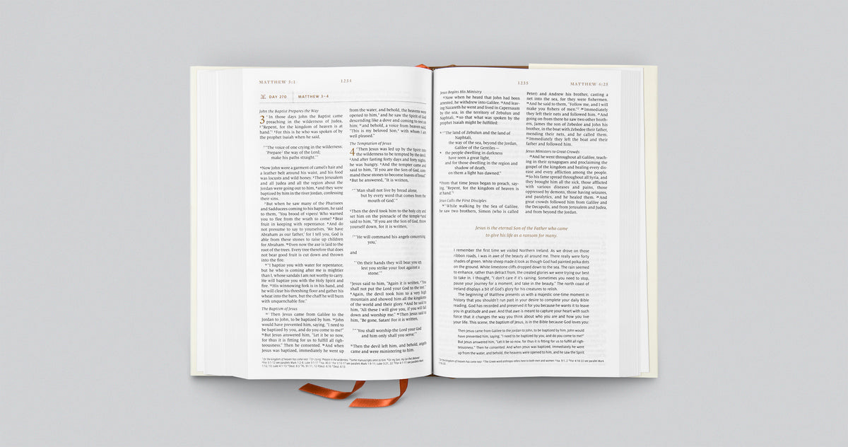 Everyday Gospel Bible: Connecting Scripture to All of Life - PaulTripp ...