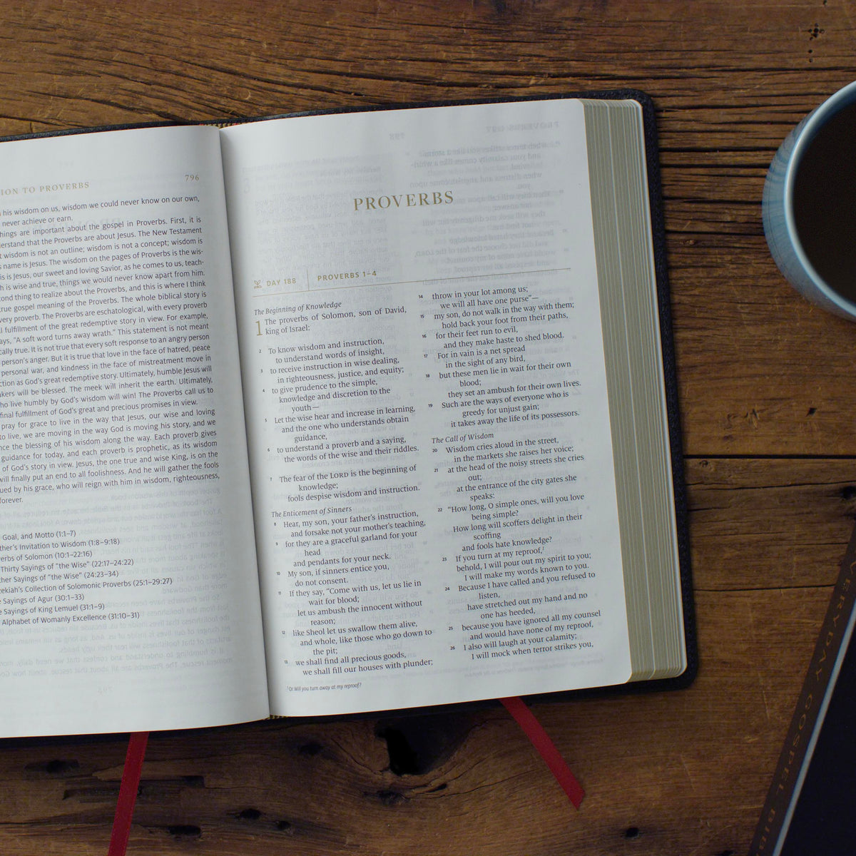 Everyday Gospel Bible: Connecting Scripture to All of Life (Genuine ...