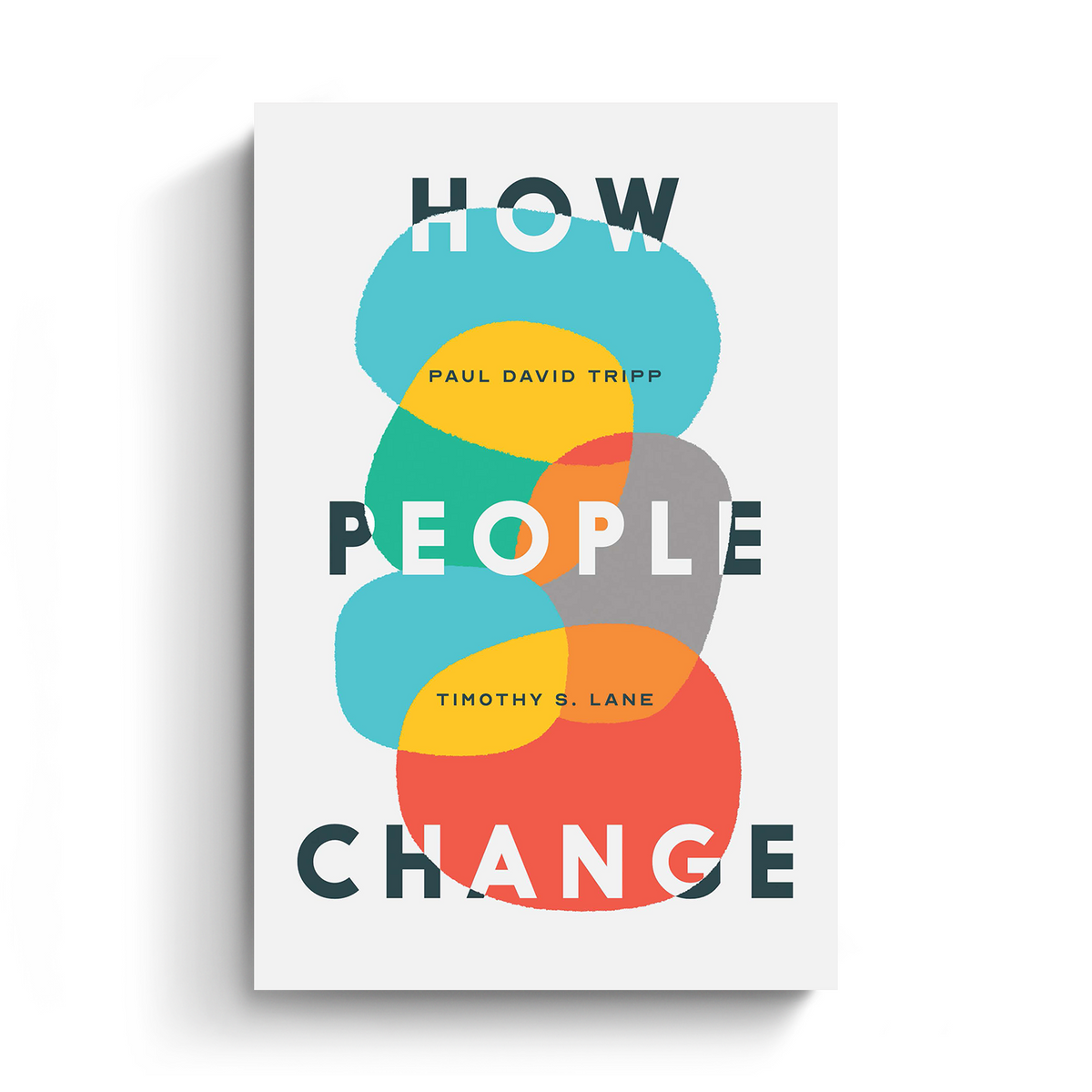 How People Change, Third Edition (Paperback) - Paul David Tripp ...