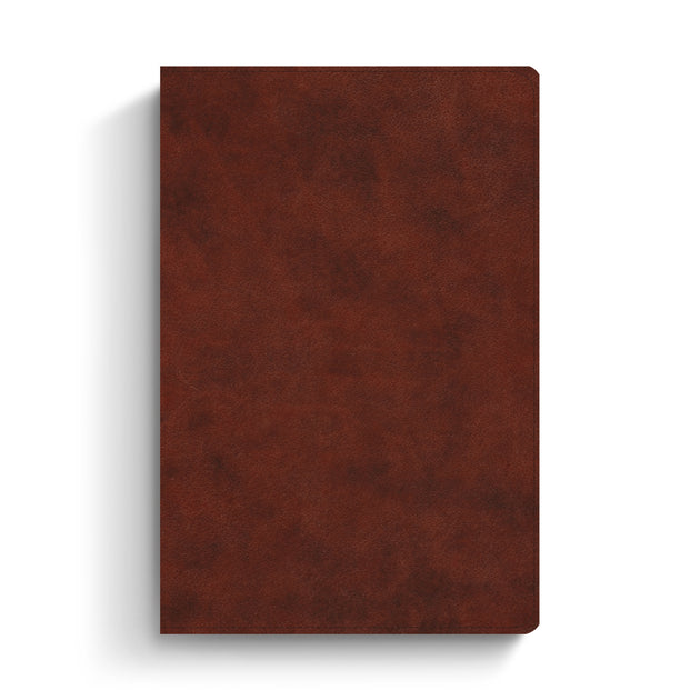 Everyday Gospel: A Daily Devotional and Bible in a Year Reading Plan by ...