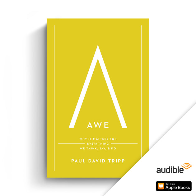 Awe: Why It Matters for Everything We Think, Say, and Do – Paul Tripp ...