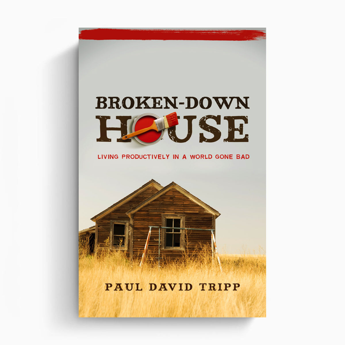 Broken-Down House: Living Productively in a World Gone Bad (Paperback ...