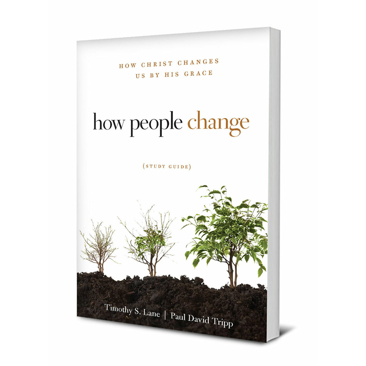 How People Change(Study Guide for Video Seminar) - Paul David Tripp ...